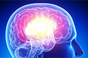 Causes of Brain Fatigue | Preserving Cognitive Abilities