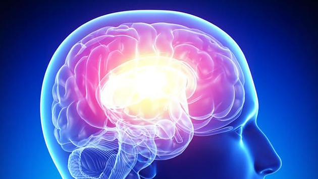 Causes of Brain Fatigue | Preserving Cognitive Abilities