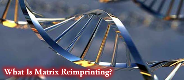 What is Matrix Reimprinting? | Discover Negative Programming